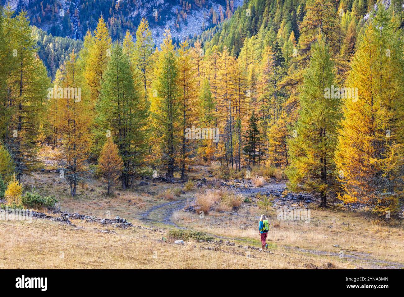 France, Alpes-de-Haute-Provence, valley of the Ubaye, Méolans-Revel ...