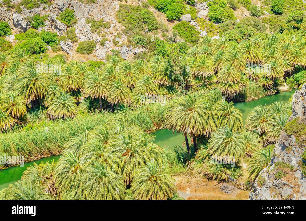Preveli palm forest hi-res stock photography and images - Alamy