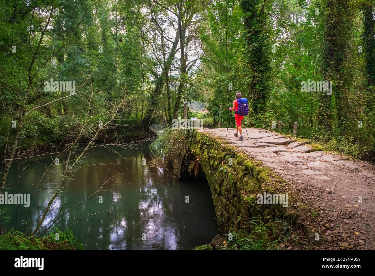 Rio louro hi-res stock photography and images - Alamy