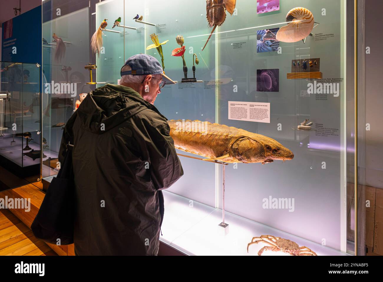 Portugal, Central Region, Coimbra, University of Coimbra (World ...