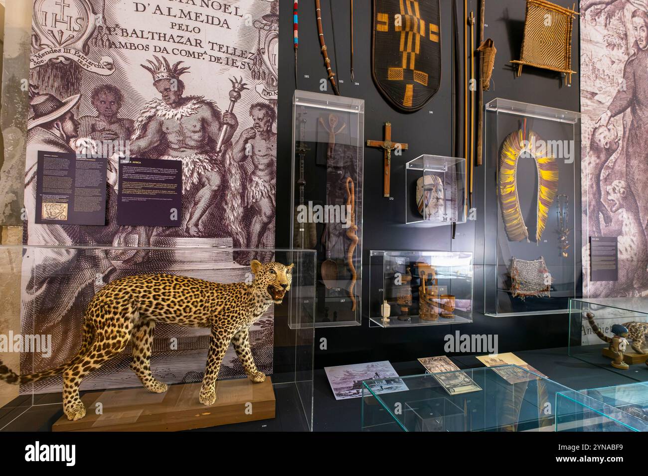 Portugal, Central Region, Coimbra, University of Coimbra (World ...
