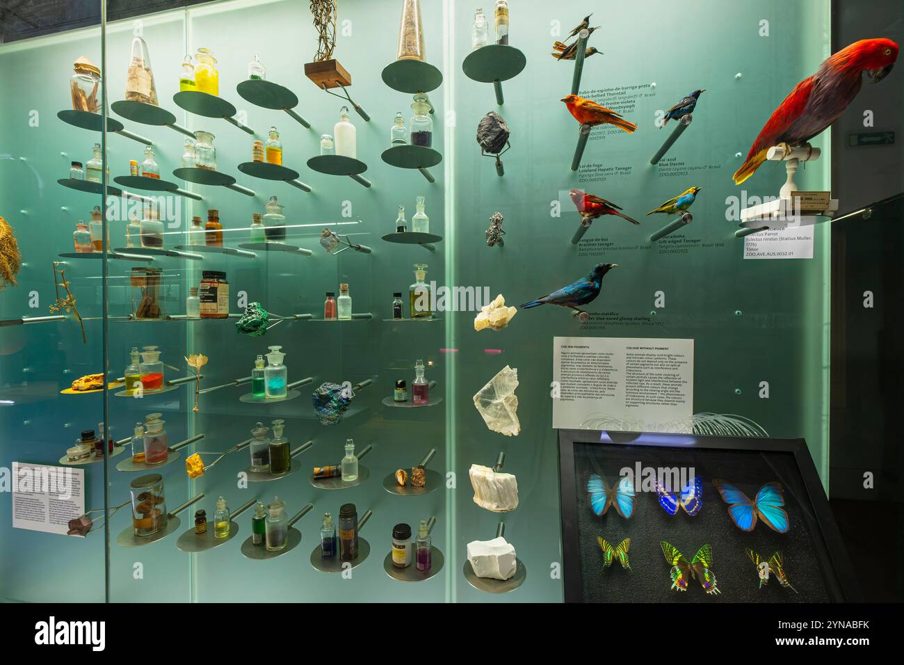 Portugal, Central Region, Coimbra, University of Coimbra (World ...