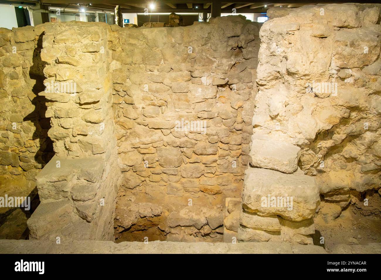 France, Paris, Notre Dame de Paris, the archaeological crypt, this long ...