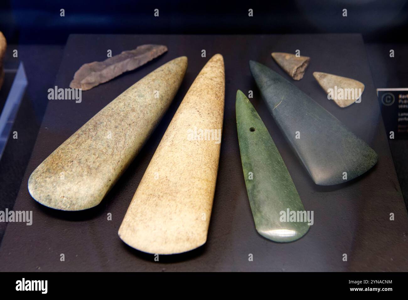 France, Morbihan (56), Carnac, Carnac prehistory museum, Polished Jade ...