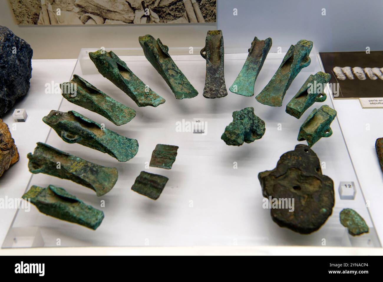France, Morbihan (56), Carnac, Carnac prehistory museum, bronze weapons ...