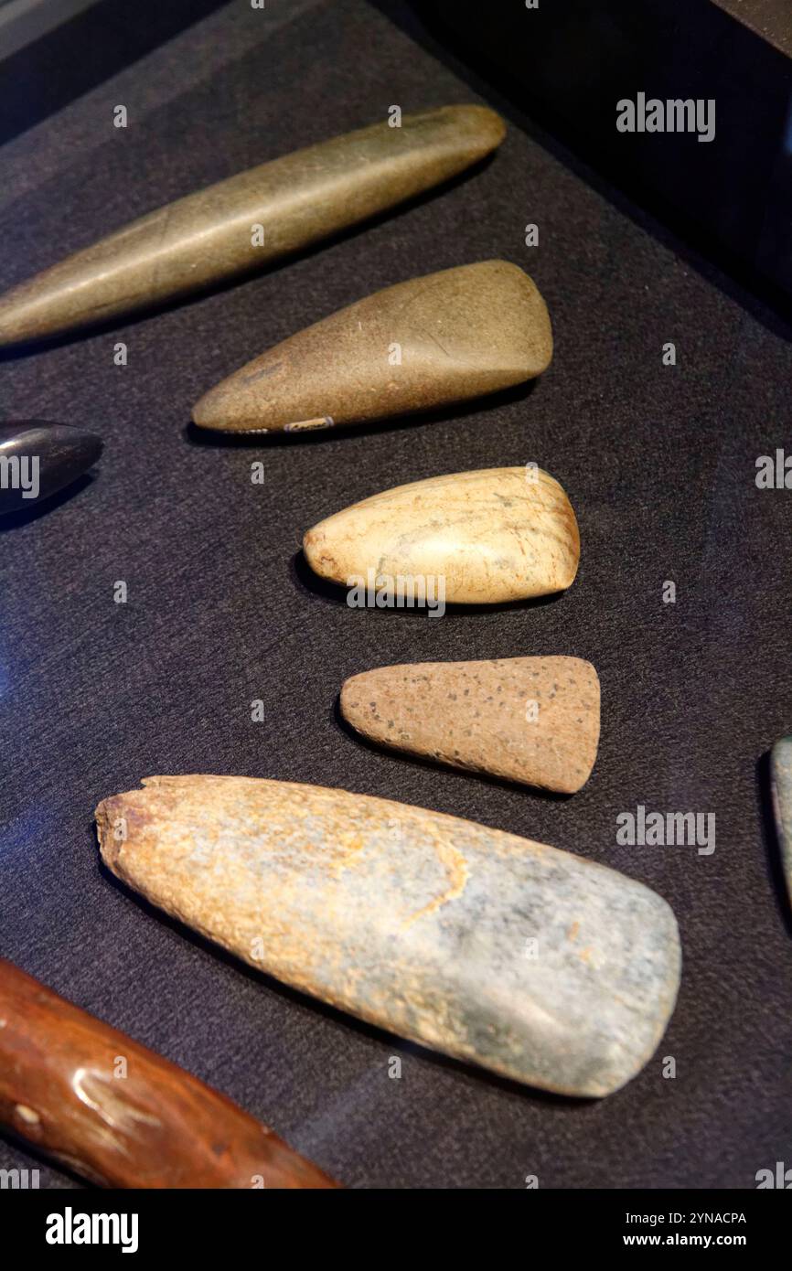 France, Morbihan (56), Carnac, Carnac prehistory museum, Polished Jade ...