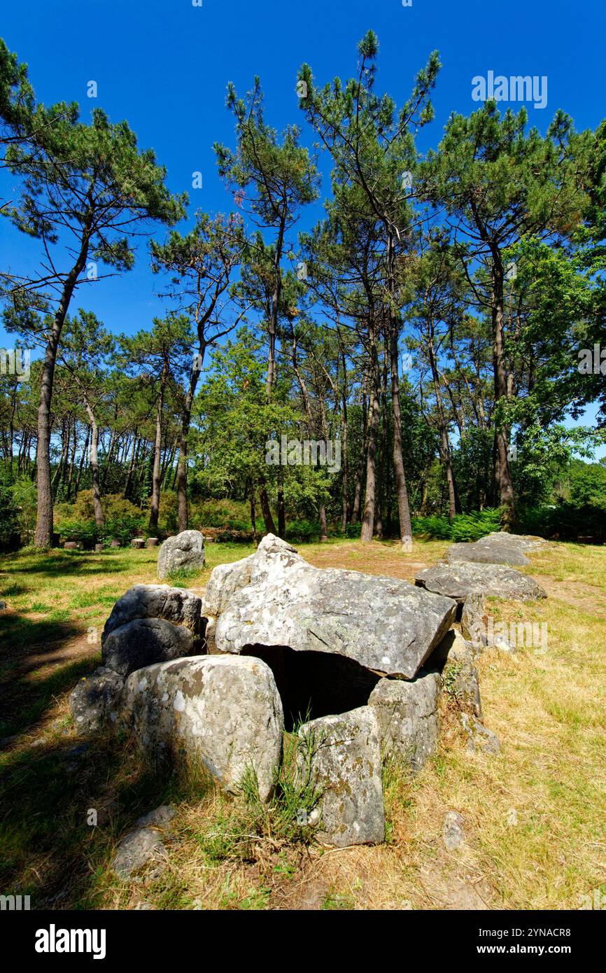 France, Morbihan, Carnac, Mane Kerioned Dolmens, Megalithic monument ...
