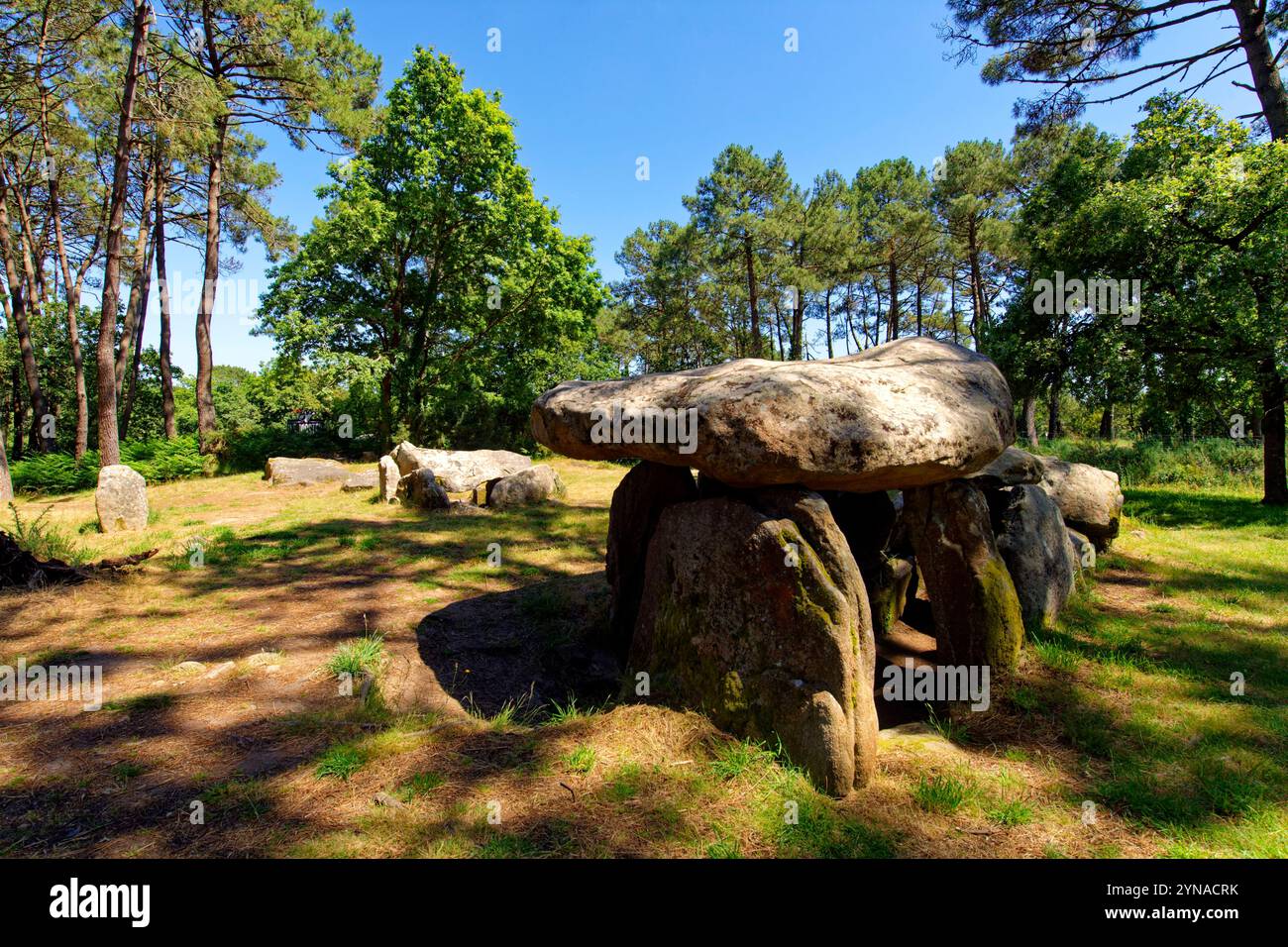 France, Morbihan, Carnac, Mane Kerioned Dolmens, Megalithic monument ...