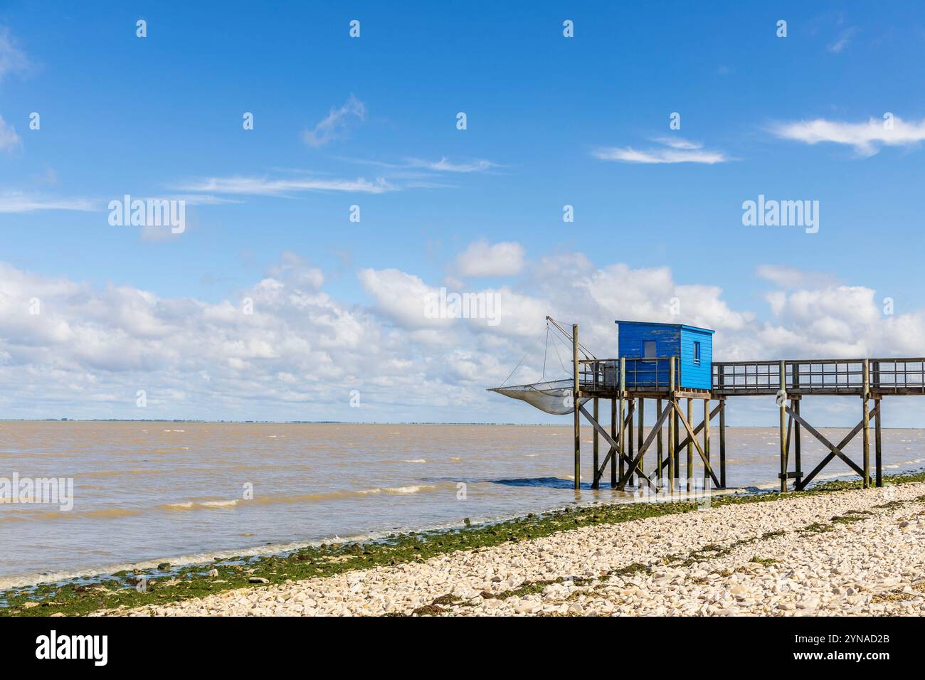 France, Charente-Maritime, Esnandes, nature reserve of the bay of l ...