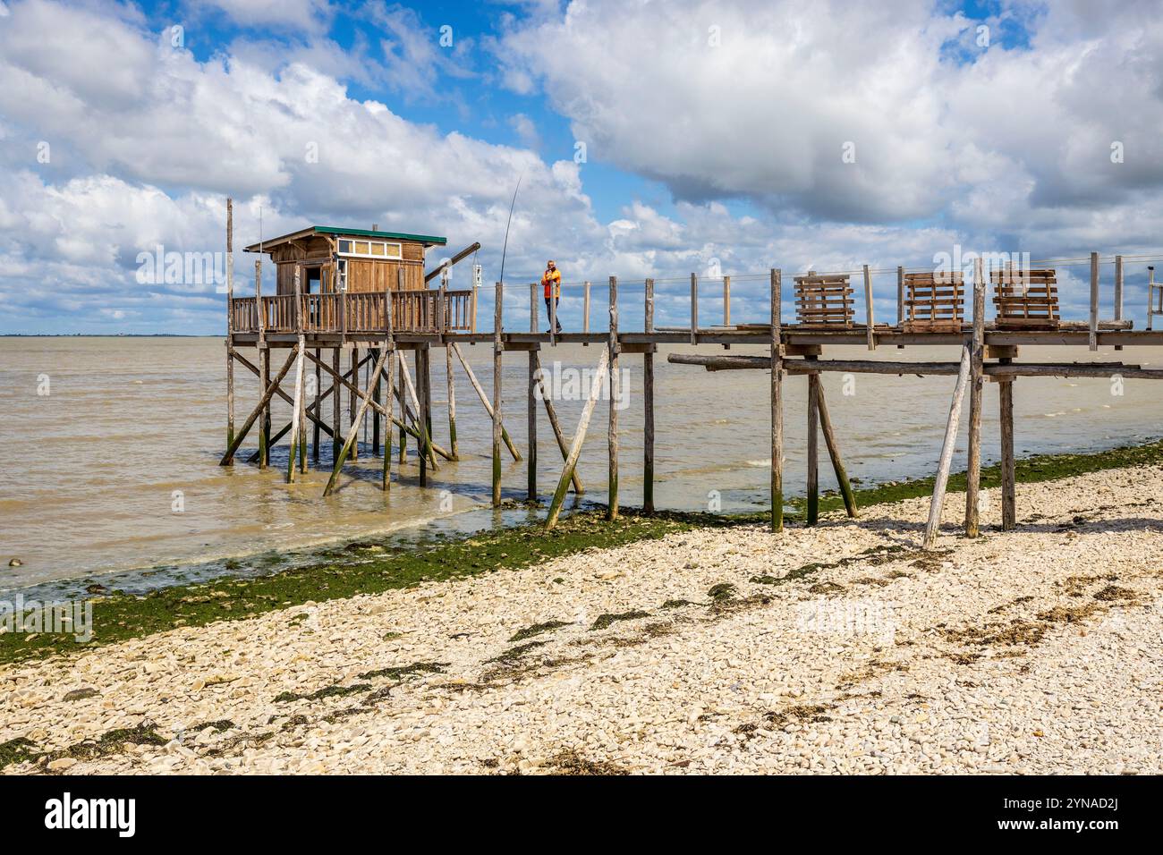 France, Charente-Maritime, Esnandes, nature reserve of the bay of l ...