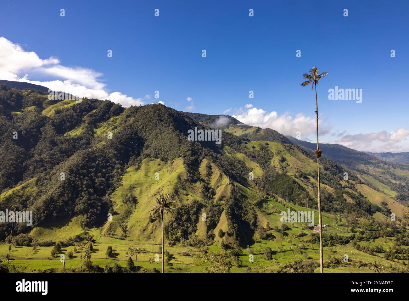 Colombia, Quindio Department, Colombian Coffee Cultural Landscape ...