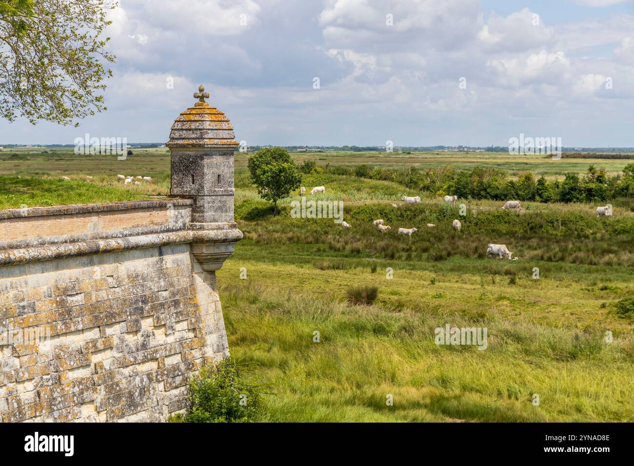 France, Charente-Maritime, Saintonge, Brouage, labelled Les Plus Beaux ...
