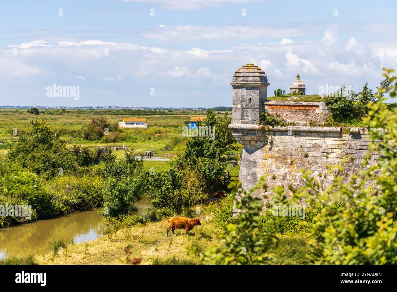 France, Charente-Maritime, Saintonge, Brouage, labelled Les Plus Beaux ...