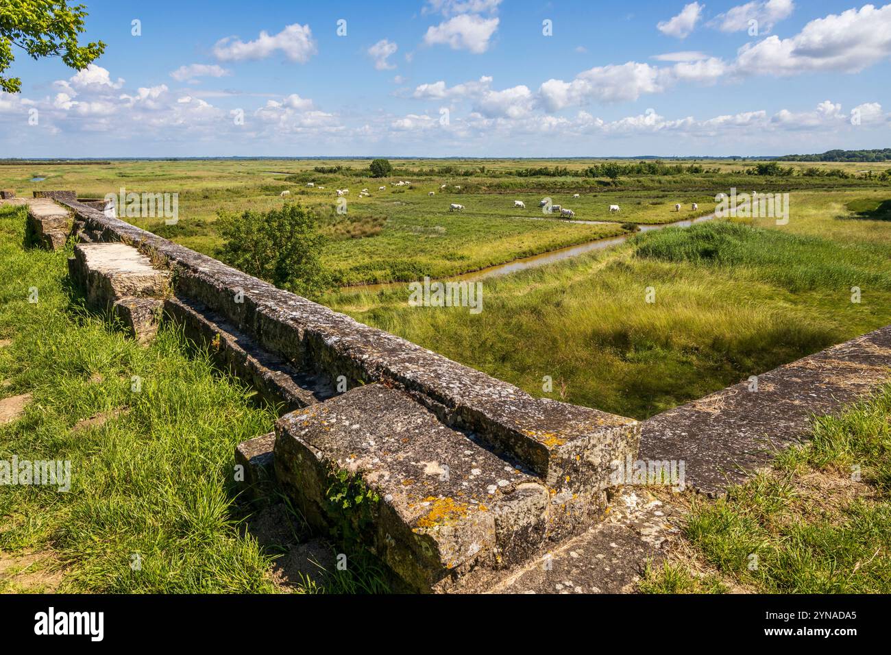 France, Charente-Maritime, Saintonge, Brouage, labelled Les Plus Beaux Villages de France, view ...