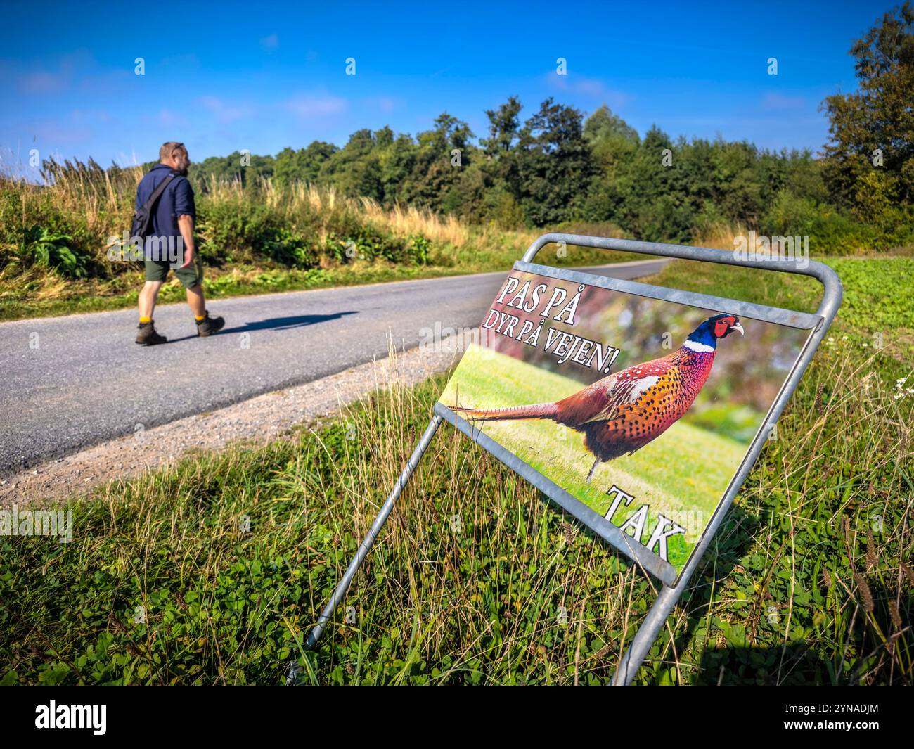 Denmark, Fiona, South Fiona Archipelago UNESCO World Geopark, Nyhave ...