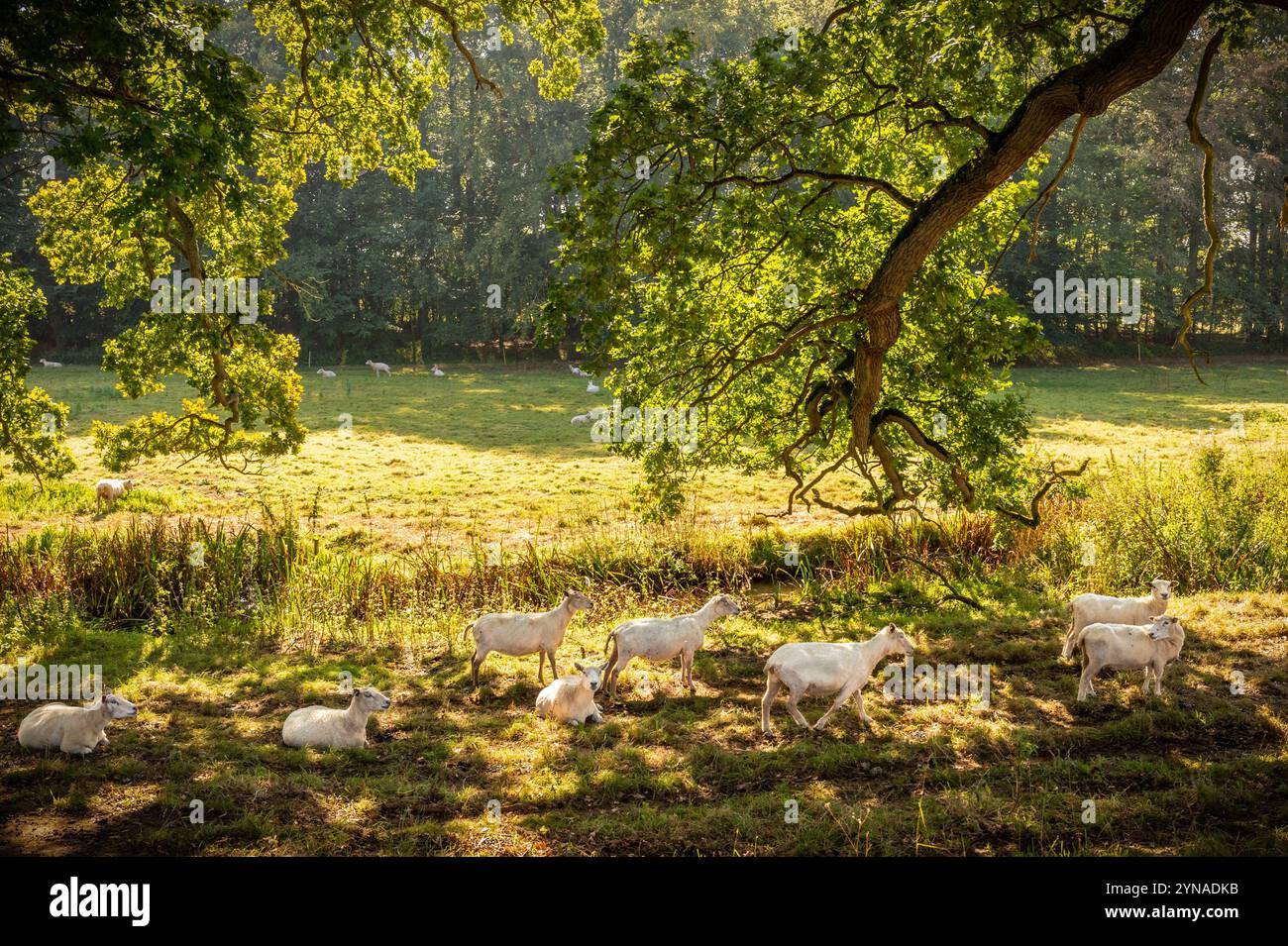 Denmark, Fiona, South Fiona Archipelago UNESCO World Geopark, Gudme ...