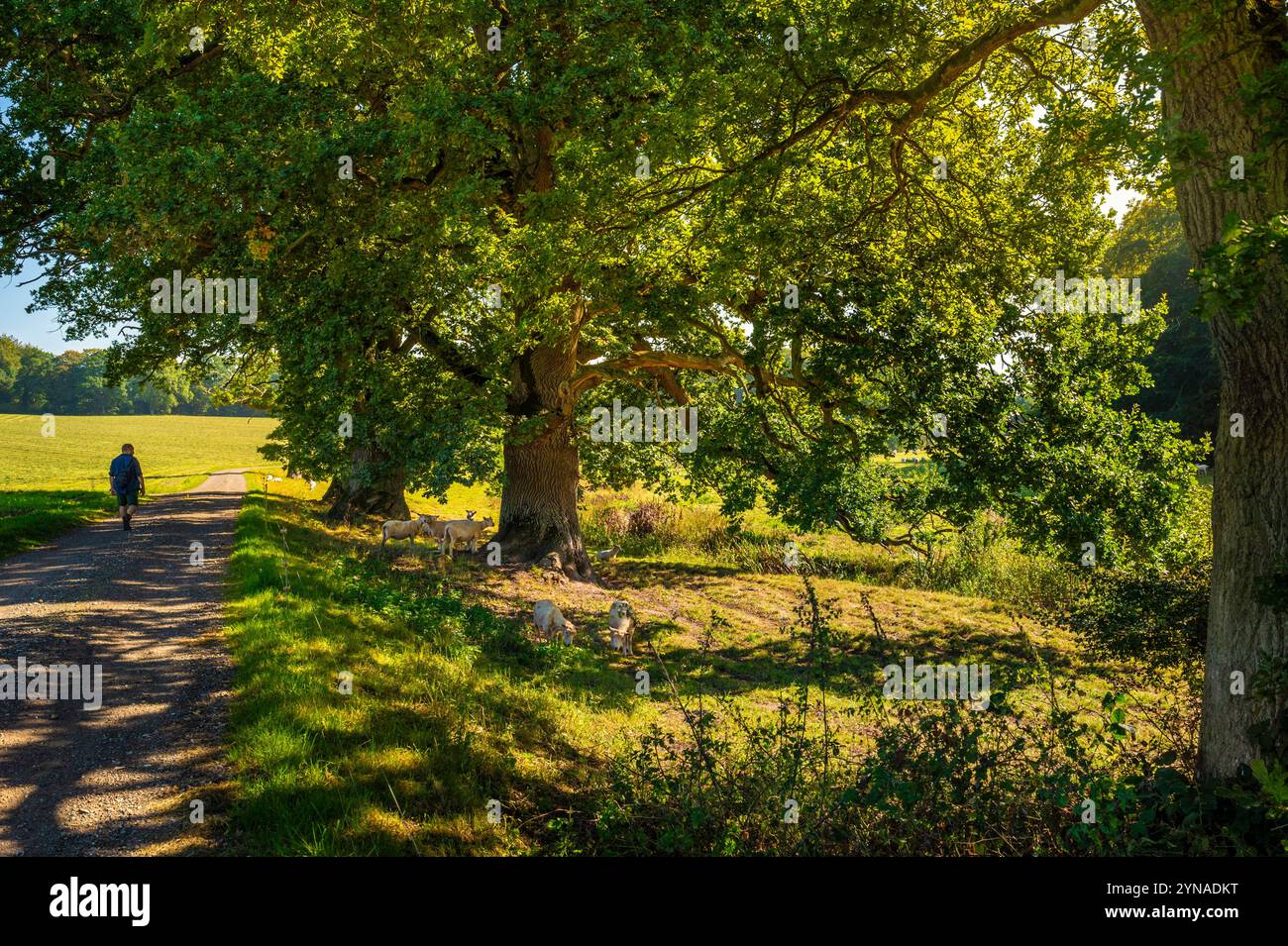 Denmark, Fiona, South Fiona Archipelago UNESCO World Geopark, Gudme ...