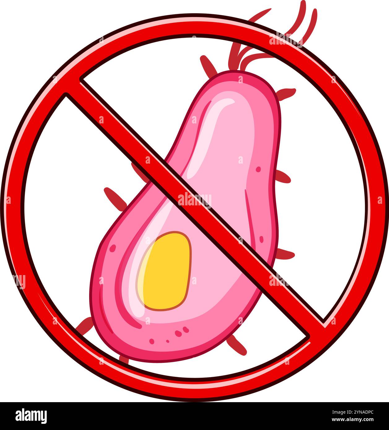 Fungal immunity Stock Vector Images - Alamy