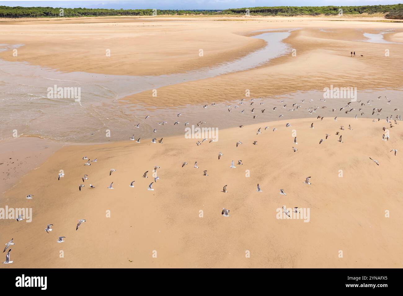 Gr 8 france hi-res stock photography and images - Alamy