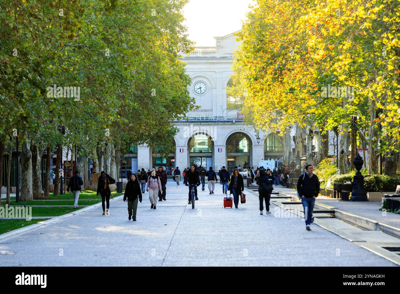 30 allee hi-res stock photography and images - Alamy