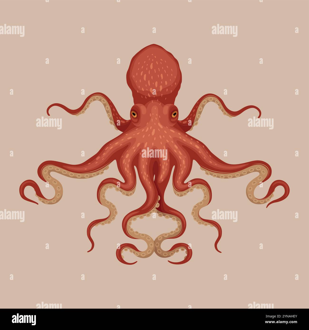 Vector illustration of red octopus Stock Vector Image & Art - Alamy