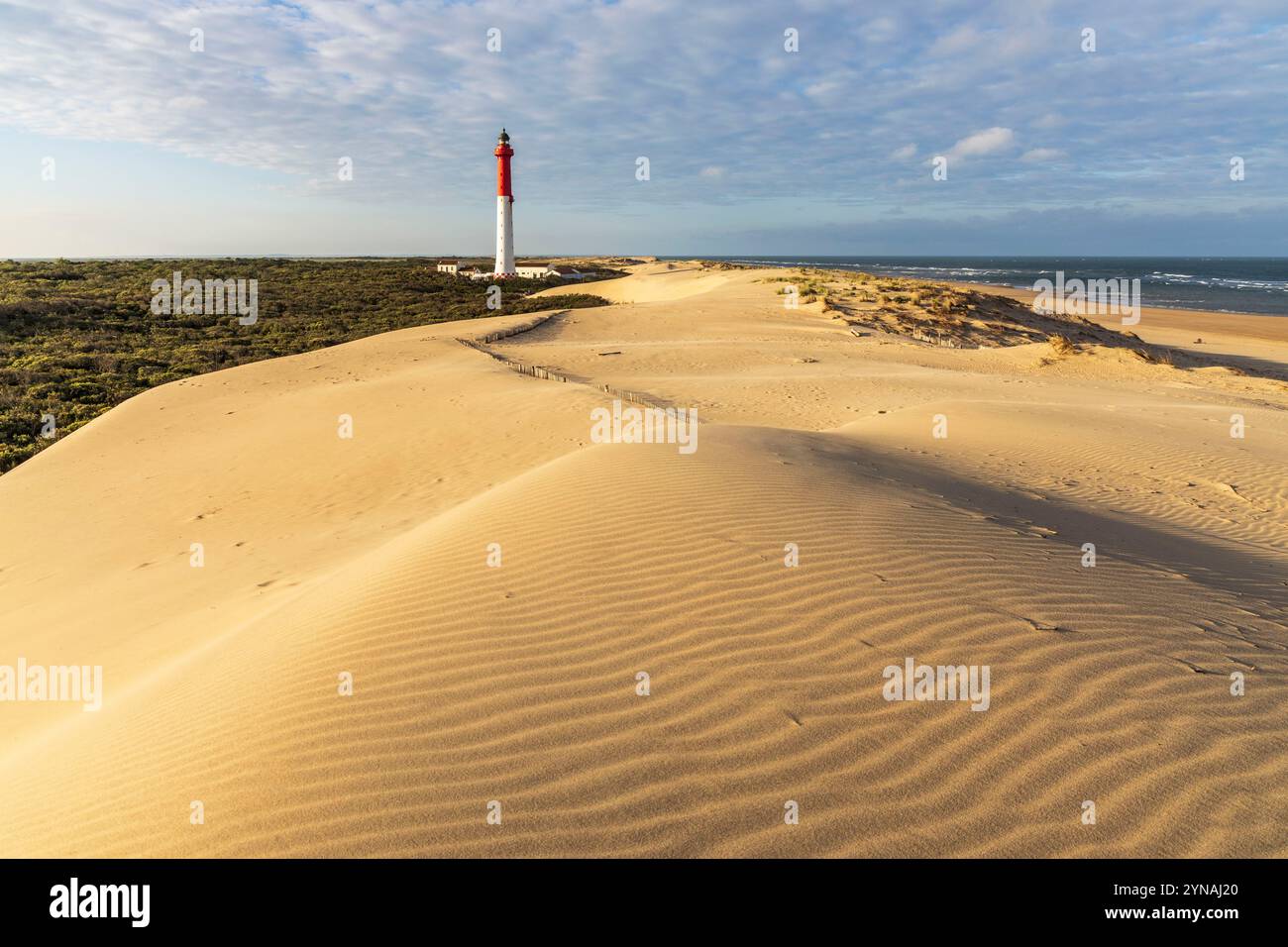 France, Charente-Maritime, the Côte Sauvage, Pointe de la Coubre, La ...