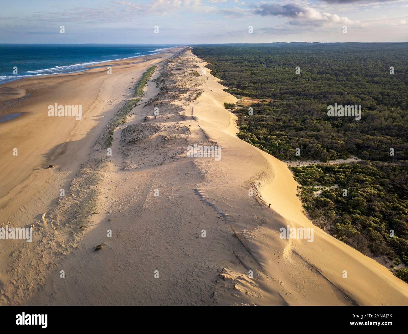France, Charente-Maritime, the Côte Sauvage, Pointe de la Coubre, La ...