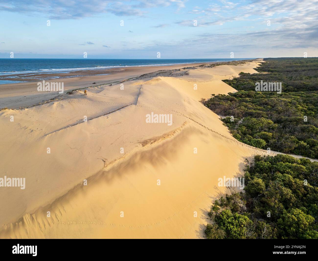 France, Charente-Maritime, the Côte Sauvage, Pointe de la Coubre, La ...