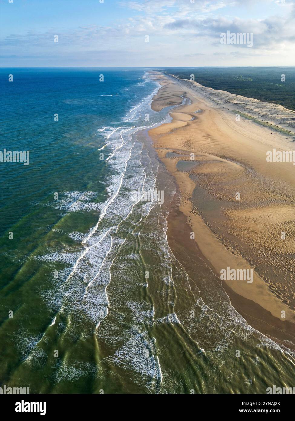 France, Charente-Maritime, the Côte Sauvage, Pointe de la Coubre, La ...