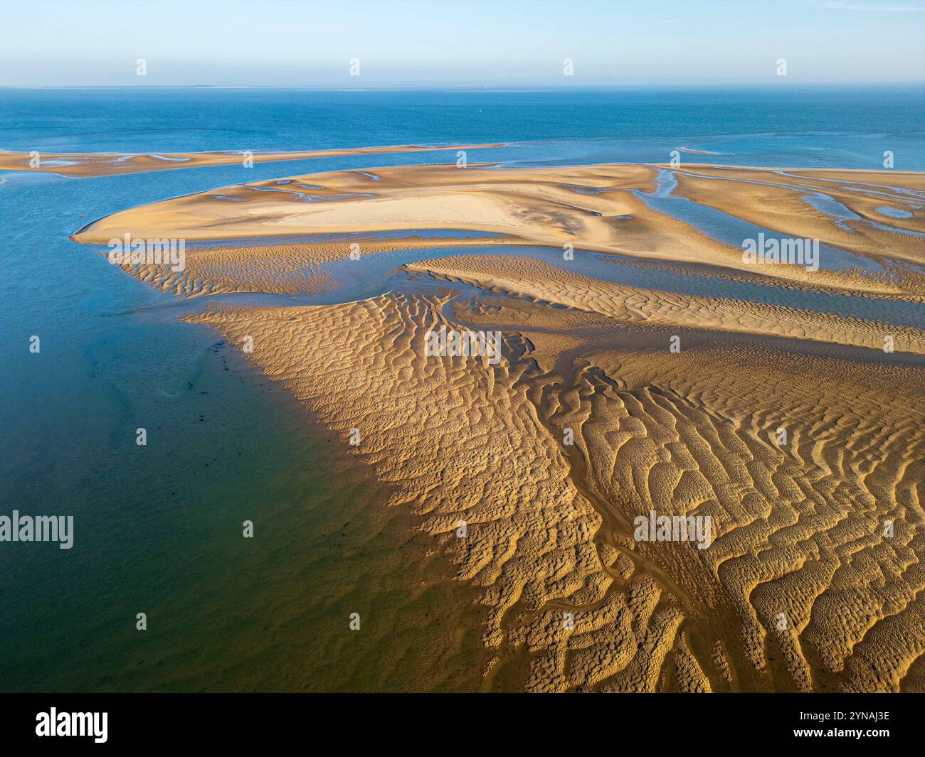 France, Charente-Maritime, La Palmyre, Les Mathes, the bay of Bonne ...