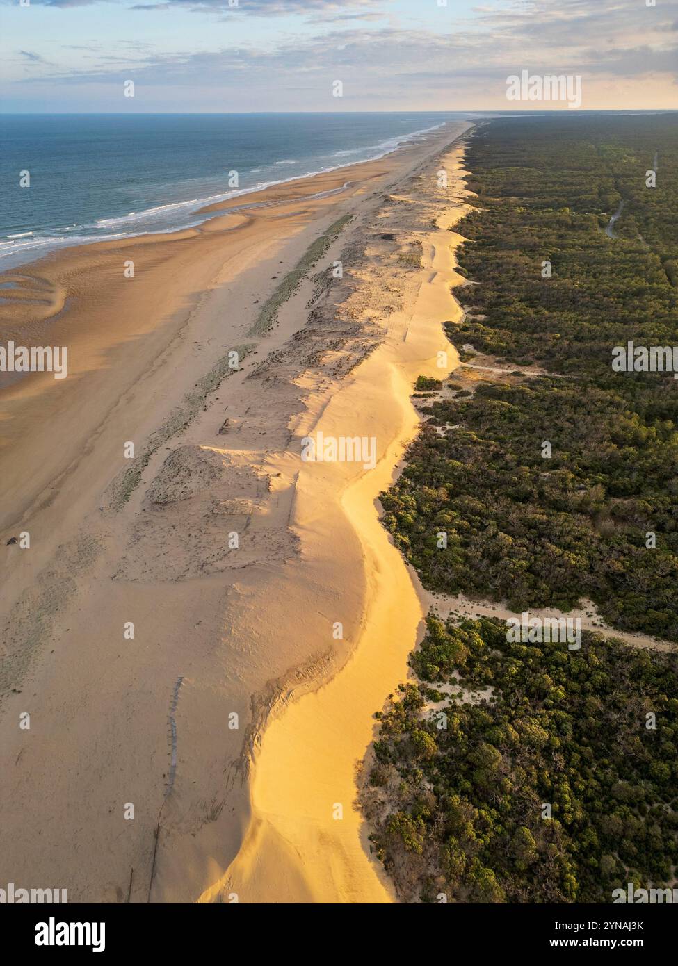 France, Charente-Maritime, the Côte Sauvage, Pointe de la Coubre, La ...