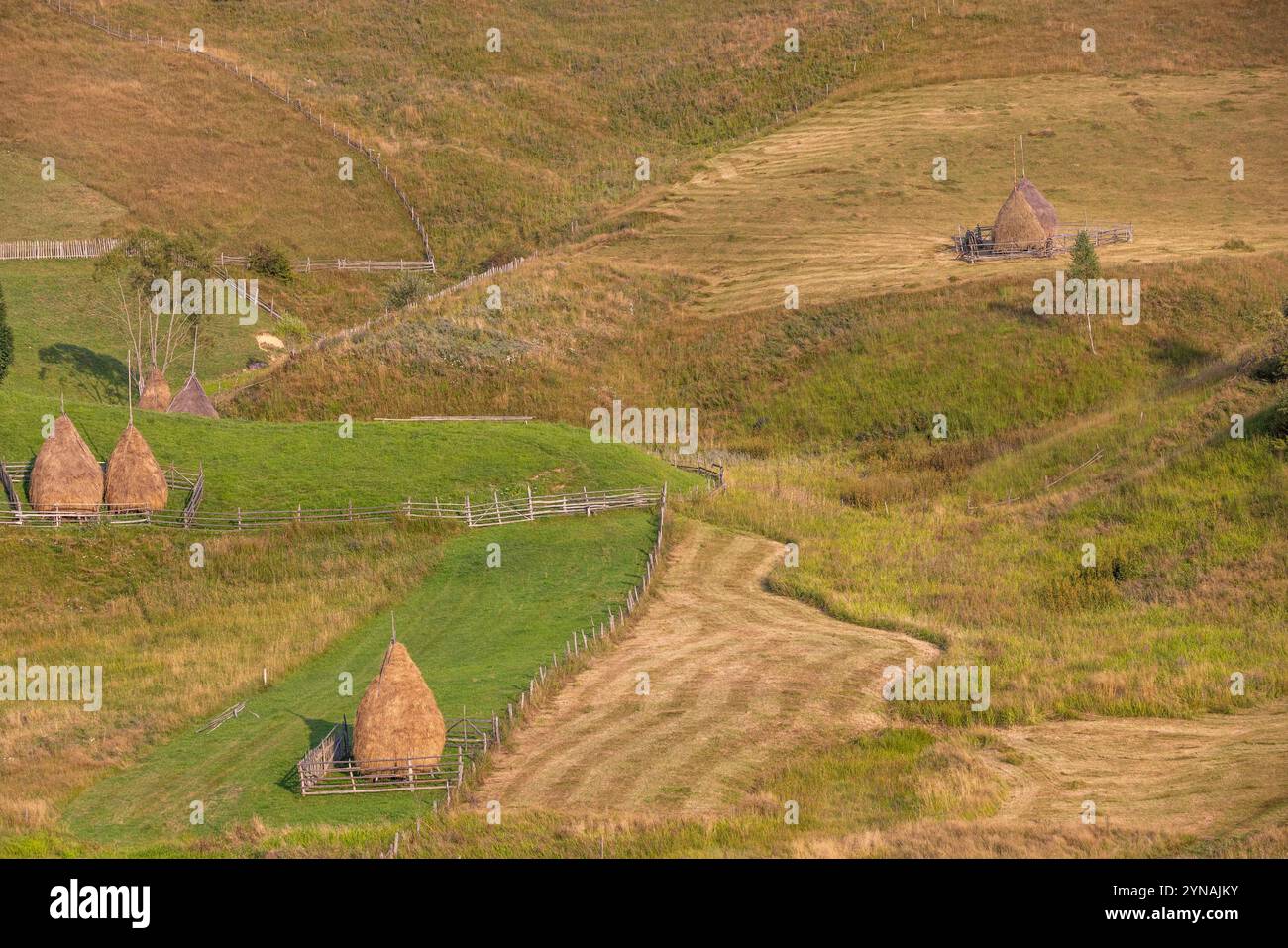 Romania, Transylvania, Gr?di?tea Muncelului-Cioclovina National Park ...