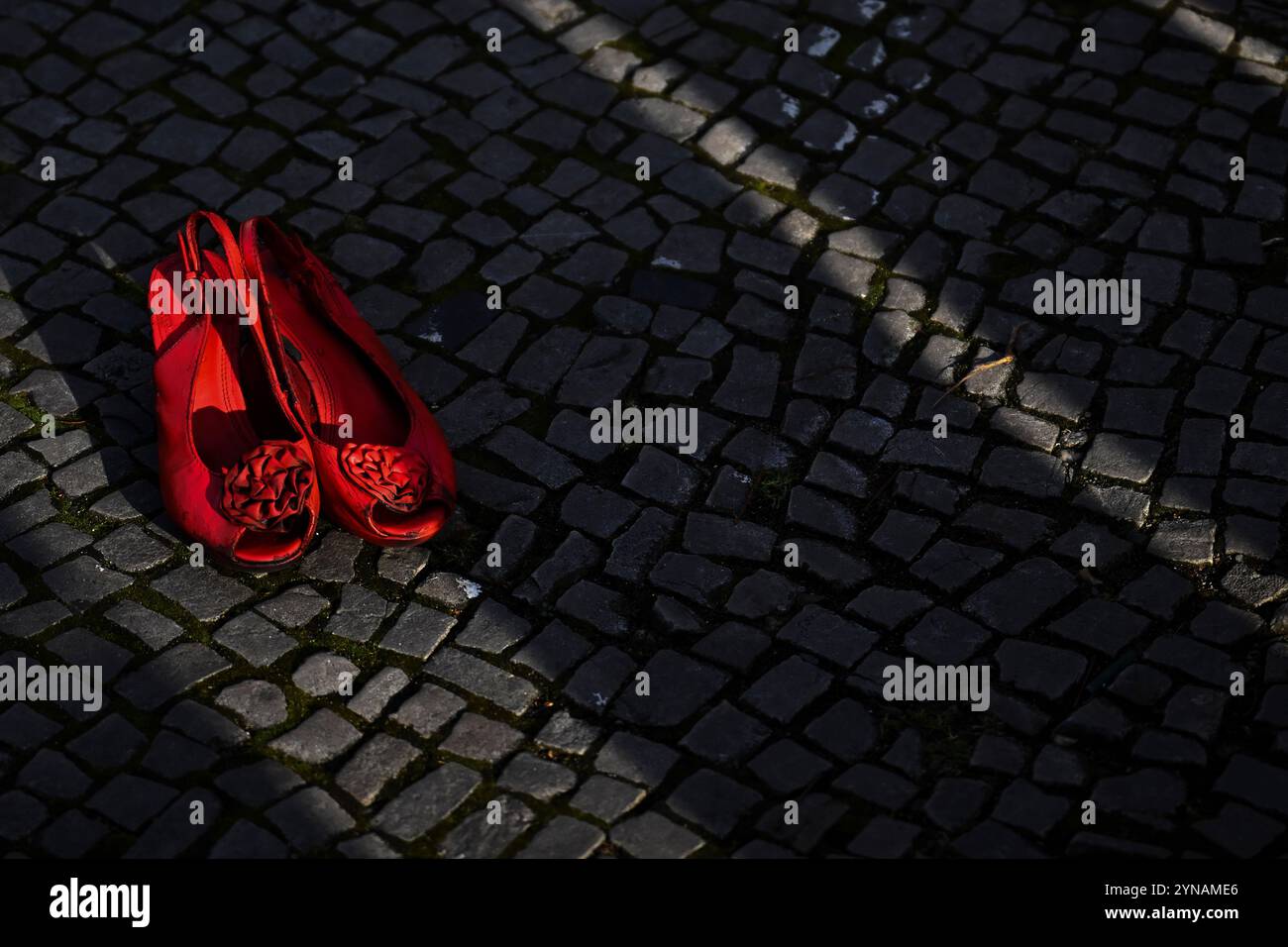 Berlin, Germany. 25th Nov, 2024. Red shoes are placed at Tiergarten ...