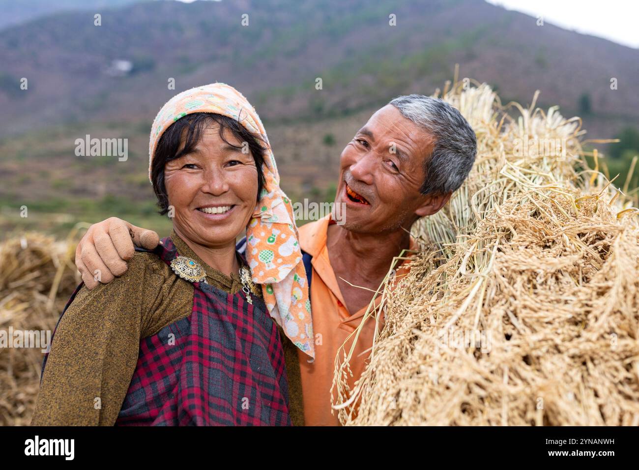 Bhutanese rice farmers harvesting rice in the field, Paro, Bhutan Stock ...