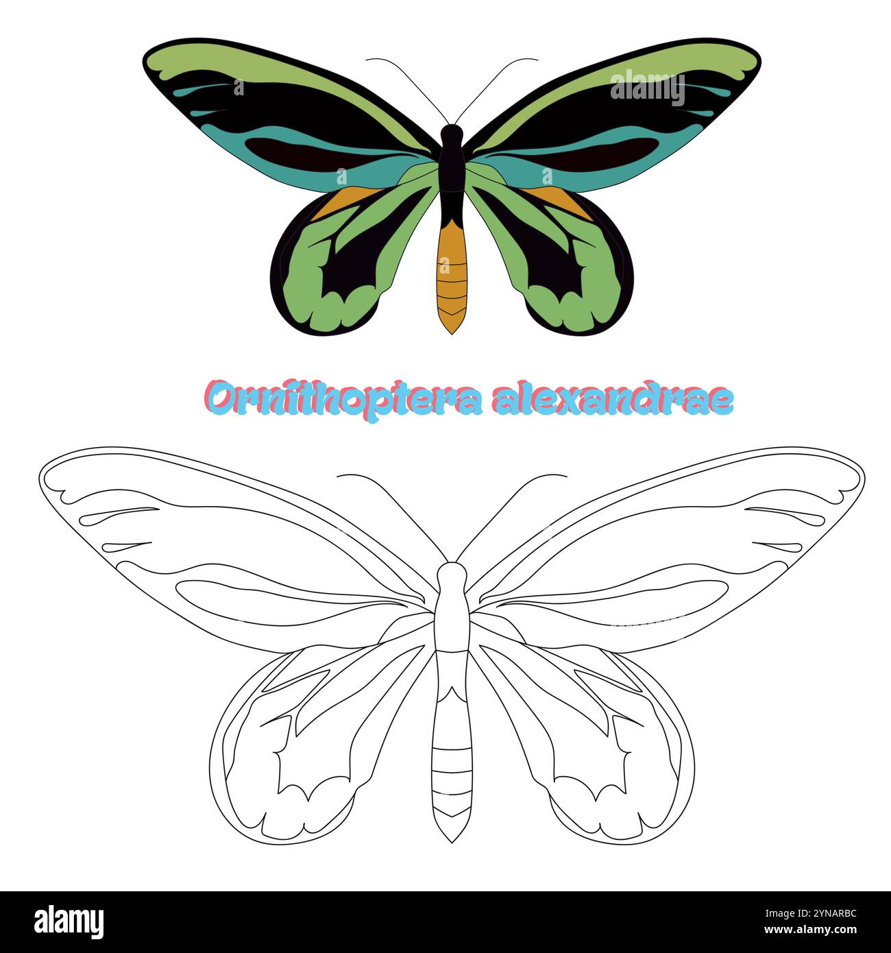 Educational game coloring book butterfly vector Stock Vector Image ...