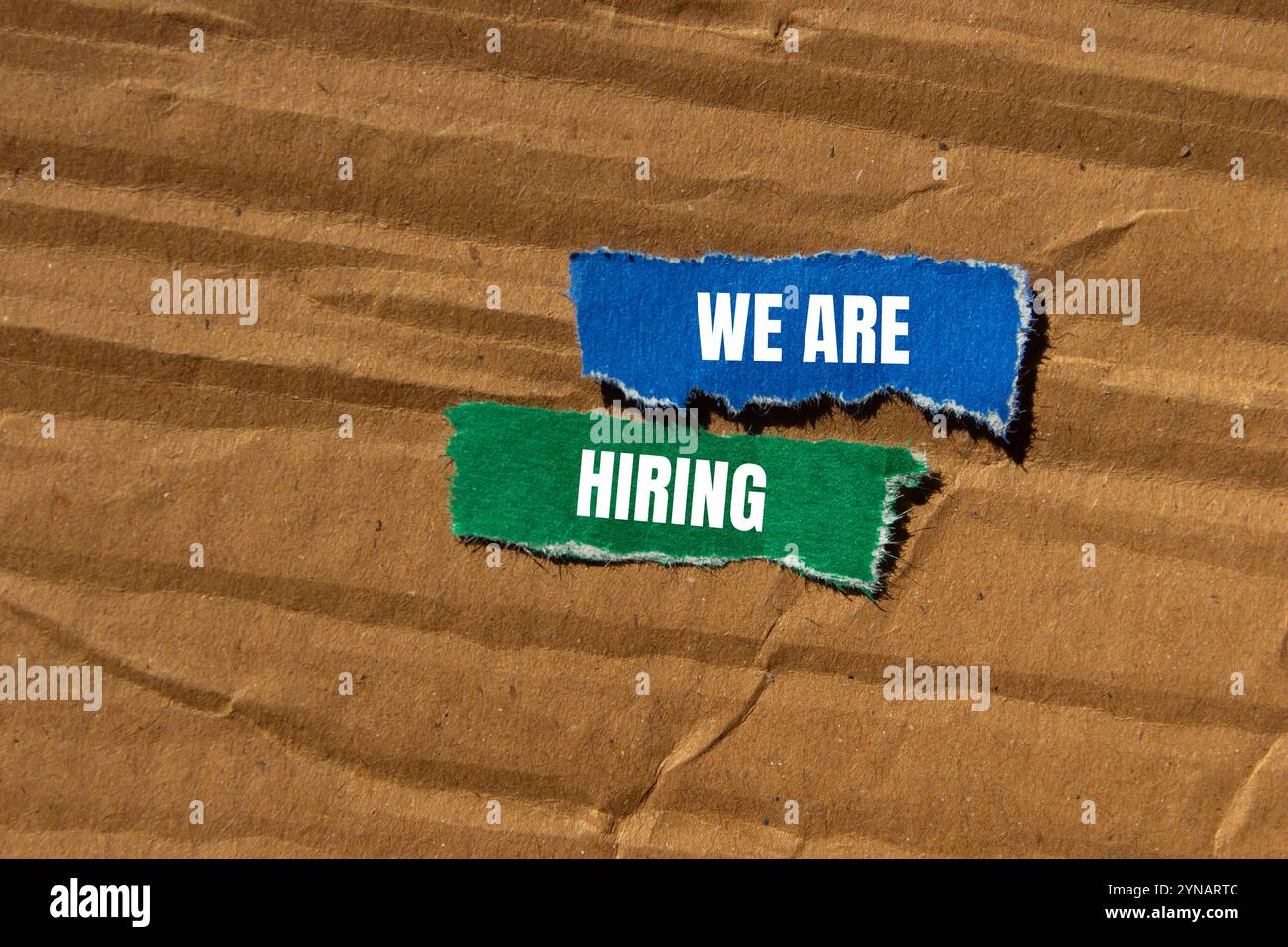 We are hiring message written on ripped torn paper pieces with cardboard background. Conceptual ...