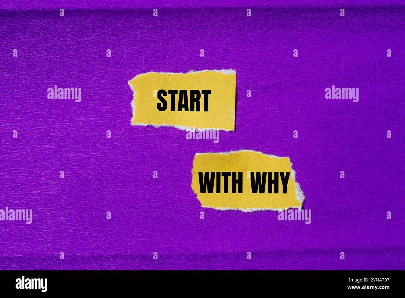 Start with why message written on ripped torn yellow paper pieces with purple background ...