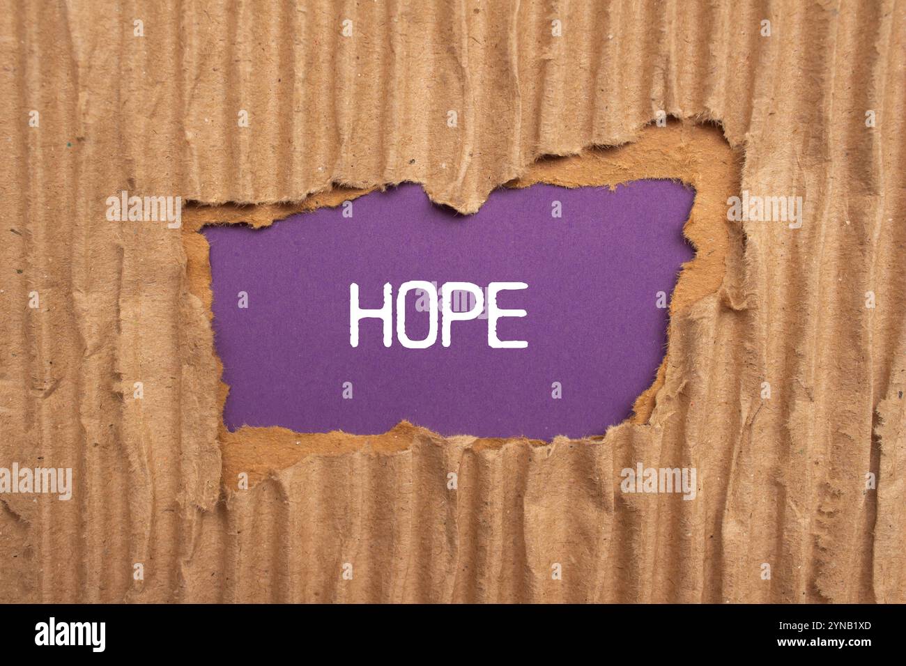 Hope message written on ripped torn cardboard paper with purple background. Conceptual hope ...
