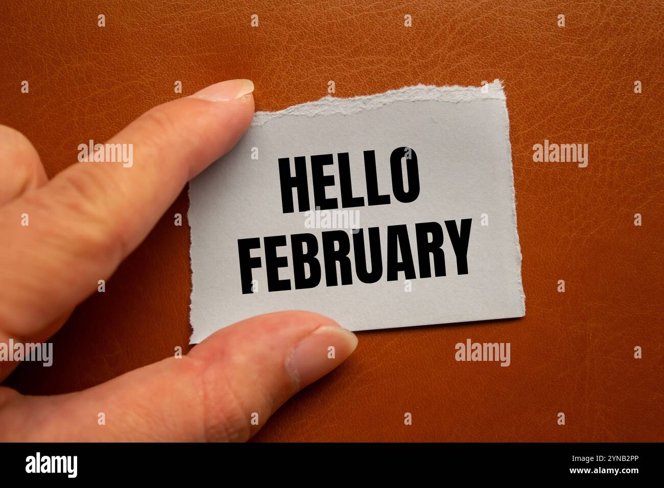Hello february message written on ripped torn paper piece with brown ...