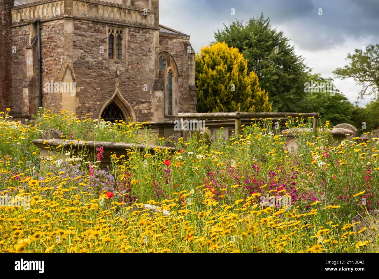 UK, England, Gloucestershire, Vale of Berkeley, Berkeley, St Mary’s ...