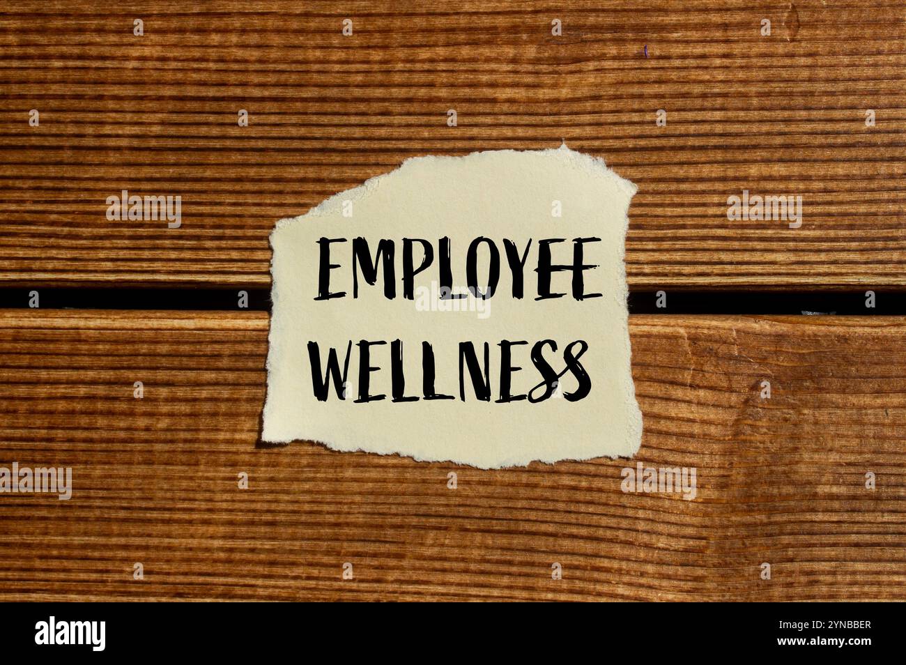 Employee wellness message written on ripped torn paper with wooden ...