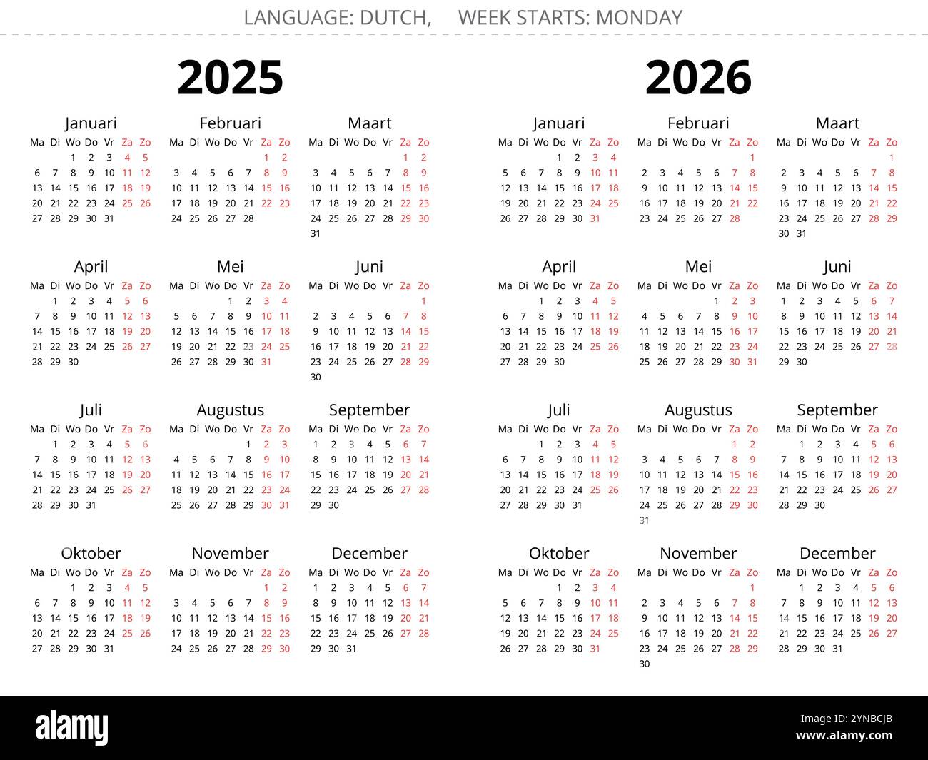 2025 and 2026 dutch calendars. Vector illustration for Dutch. 12 months ...