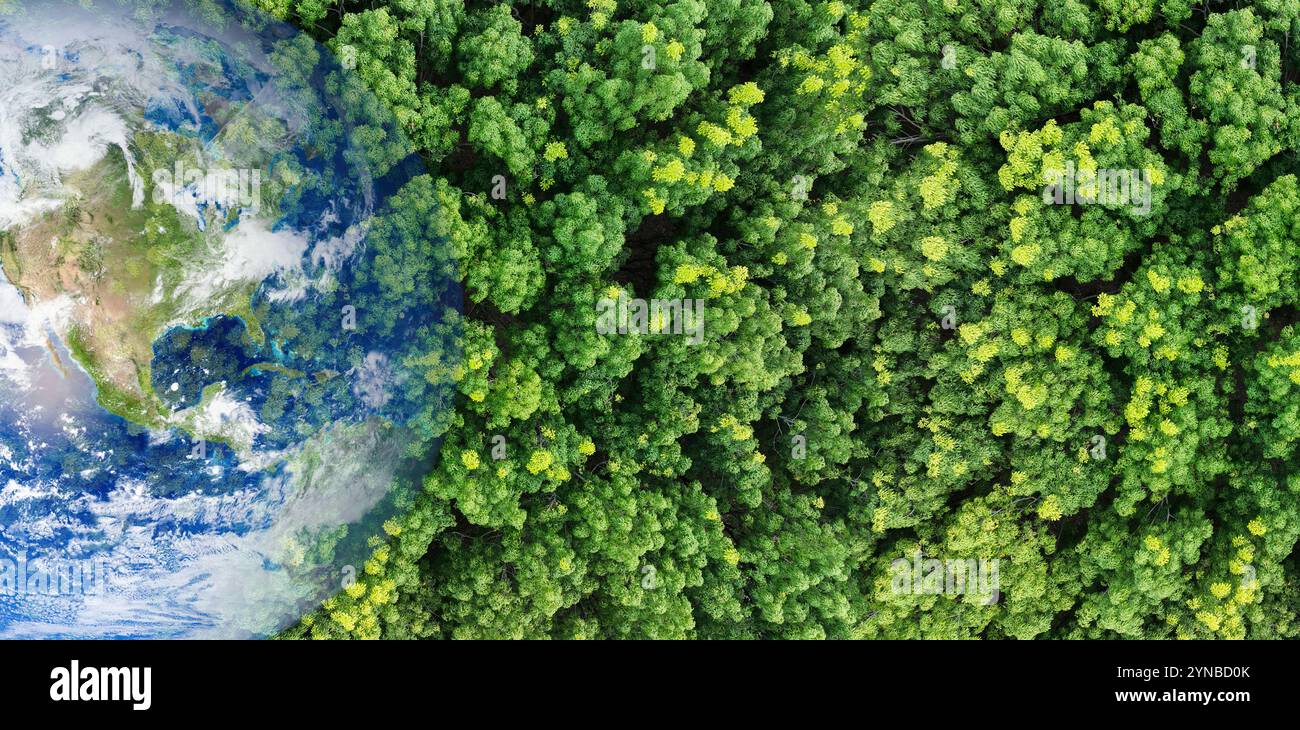 Green forest merged with earth globe. Global ecosystem conservation and ...