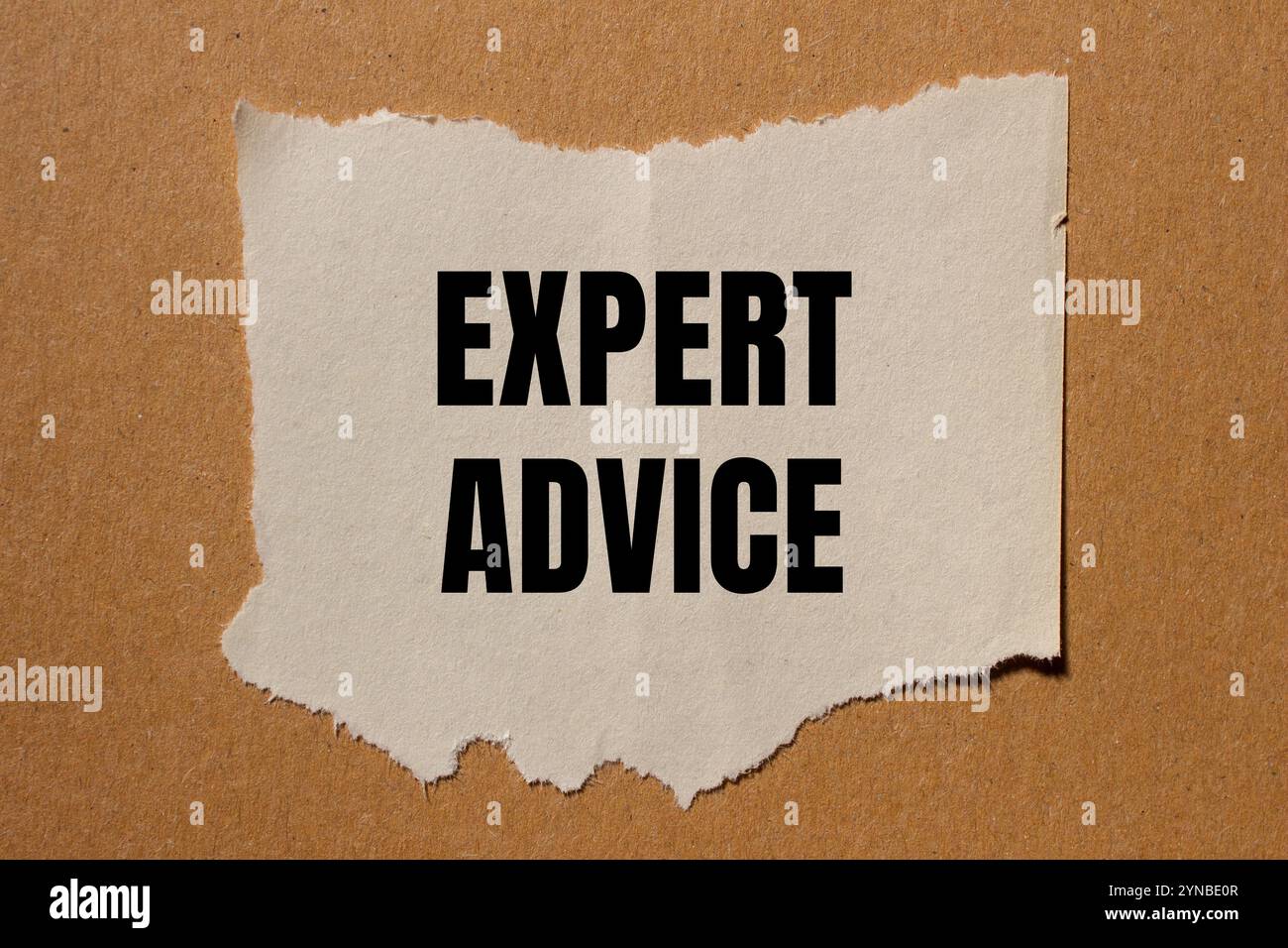 Expert advice message written on ripped torn paper piece with brown ...