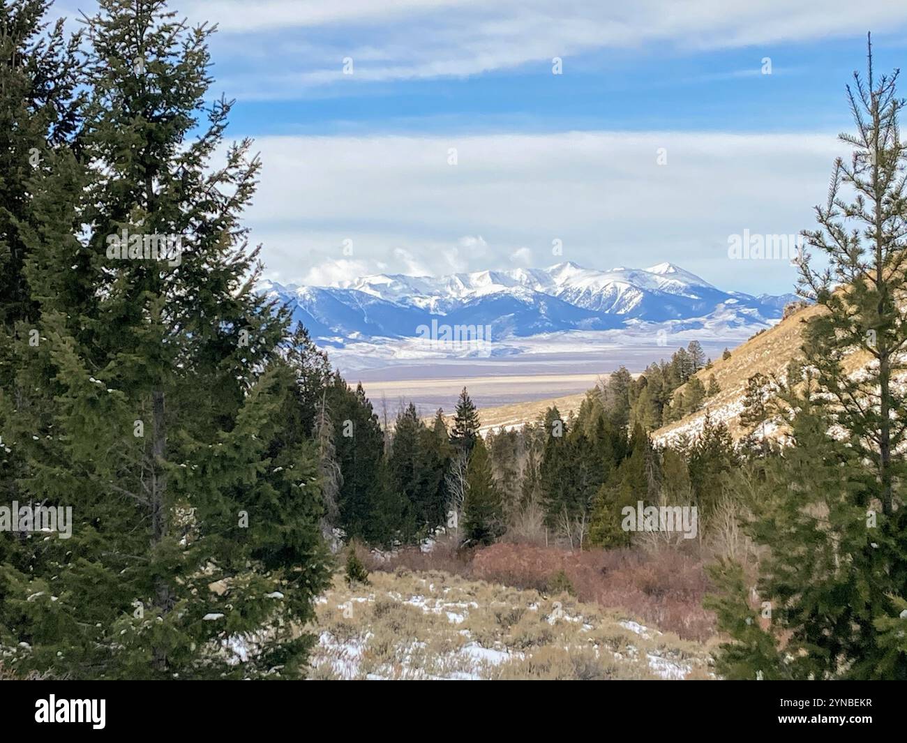 Idaho's Winter Serenity: Snow-draped mountains framed by towering pine trees, showcasing the ...