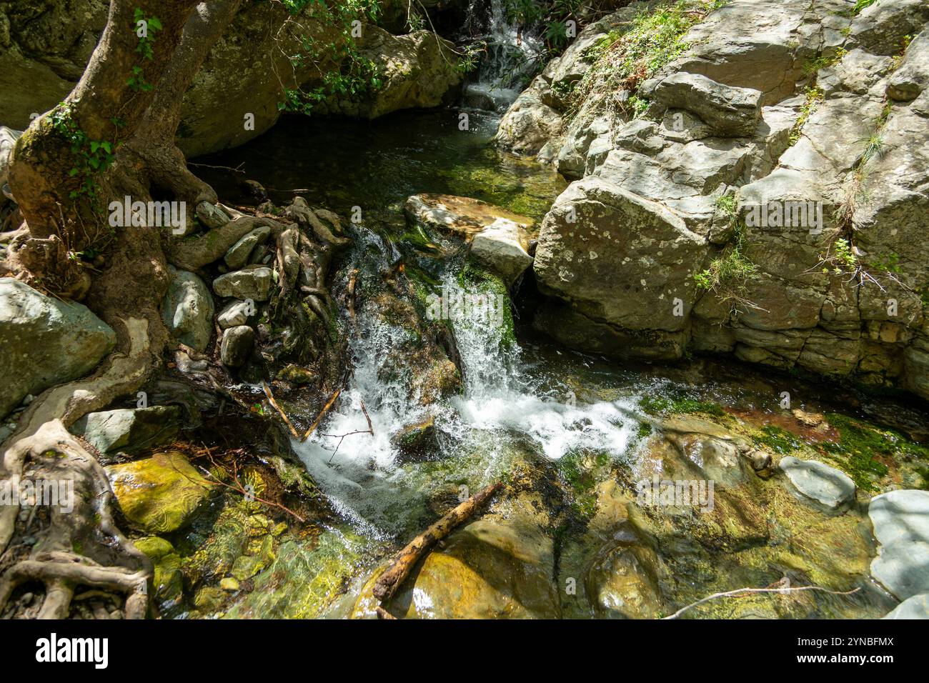 Richtis Gorge, state protected park, Crete, Greece Stock Photo - Alamy