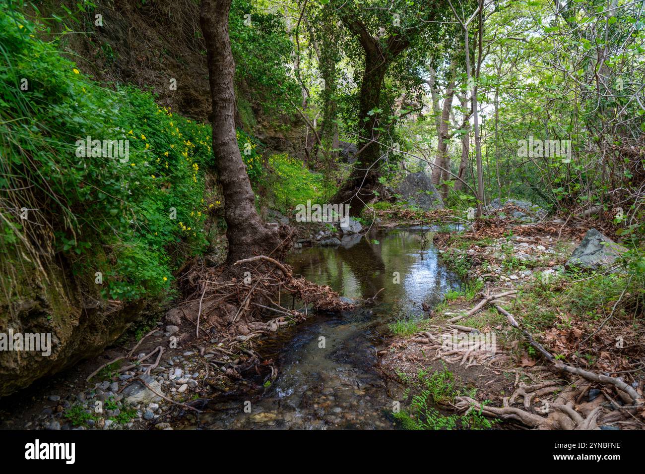 Richtis Gorge, state protected park, Crete, Greece Stock Photo - Alamy