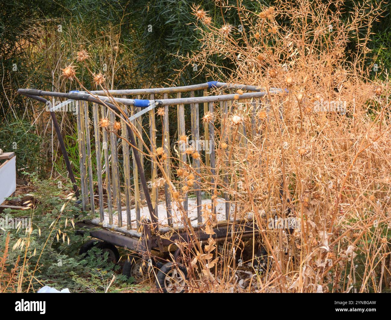 Disintegrate hi-res stock photography and images - Alamy