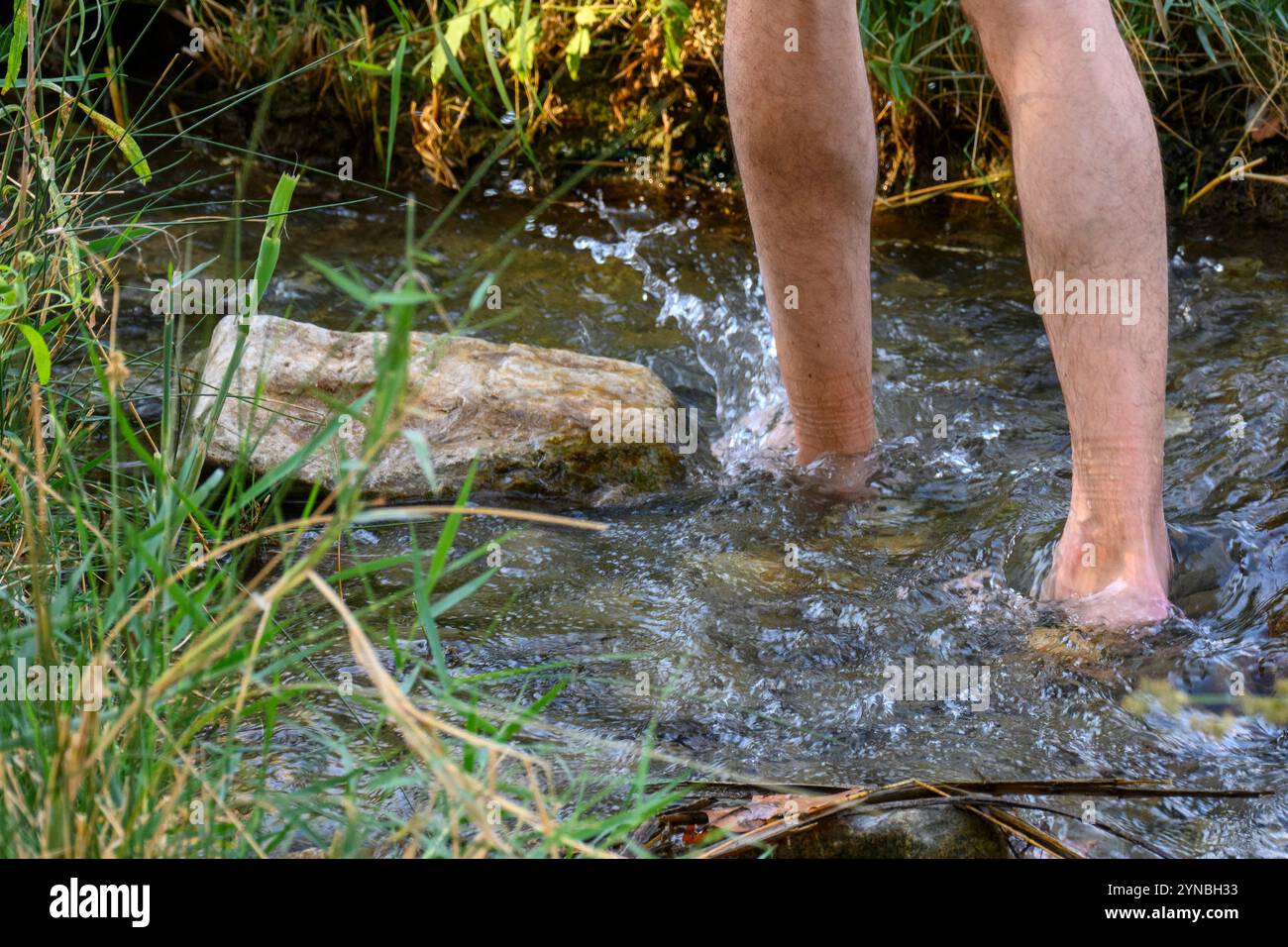 walking in a water stream feet walk in water Stock Photo - Alamy