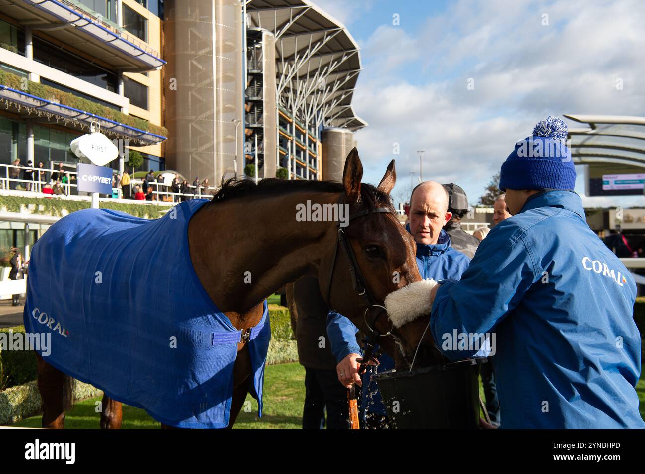 Susan waterworth hi-res stock photography and images - Alamy